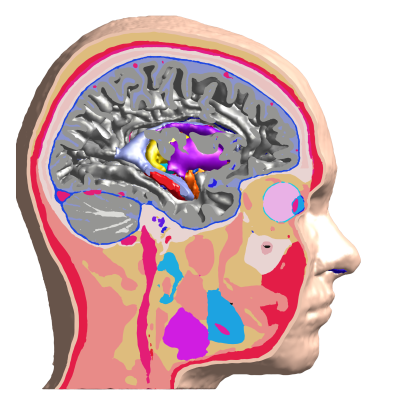 SIM4LIFE » IT'IS Foundation