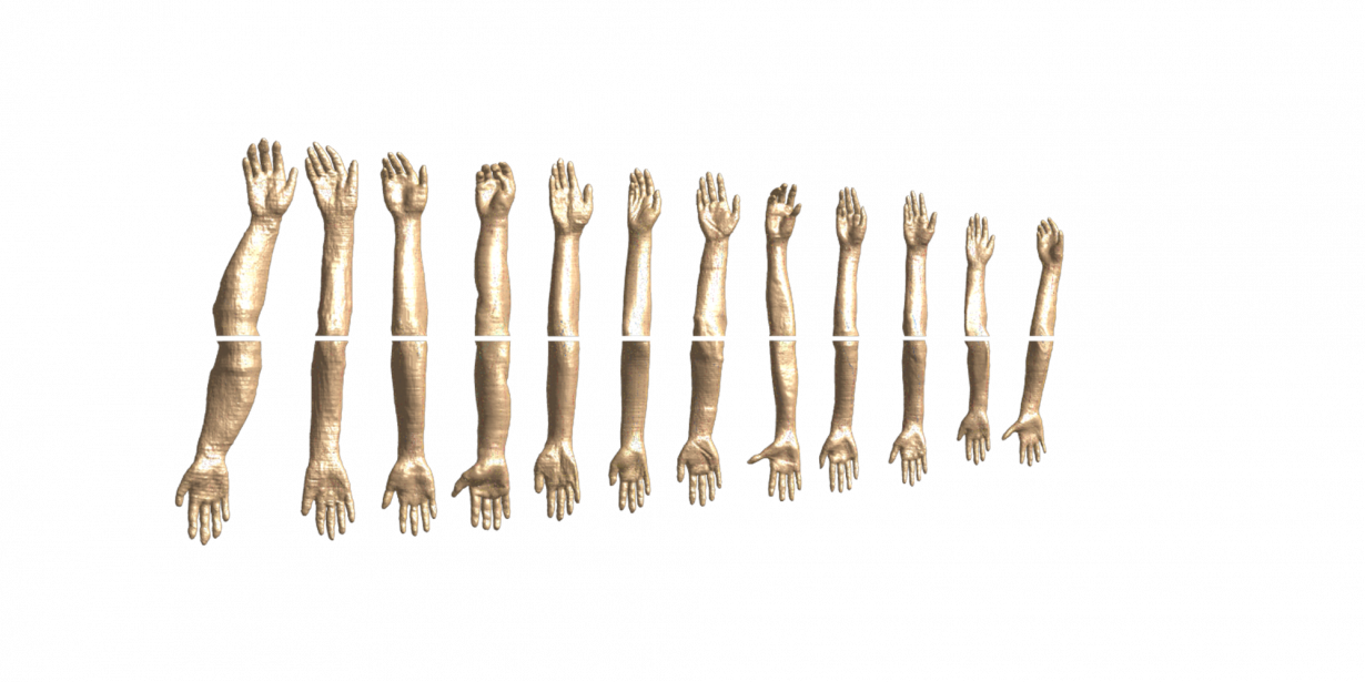 ViP HAND LIBRARY » IT'IS Foundation