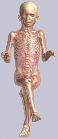 THELONIOUS cV3.0 » IT'IS Foundation